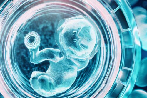 Embrião sintético humano criado em laboratório